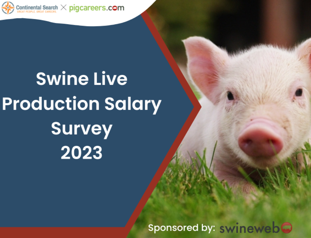 Immunocastration For Pigs?